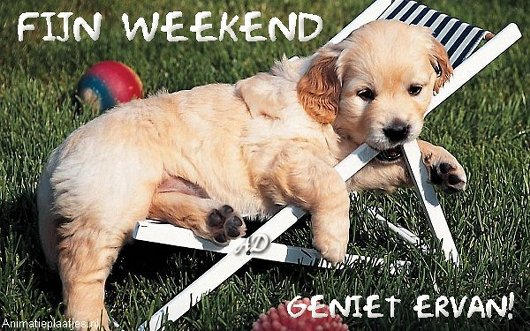 Fijn weekend ?! – LookAroundTheCorner